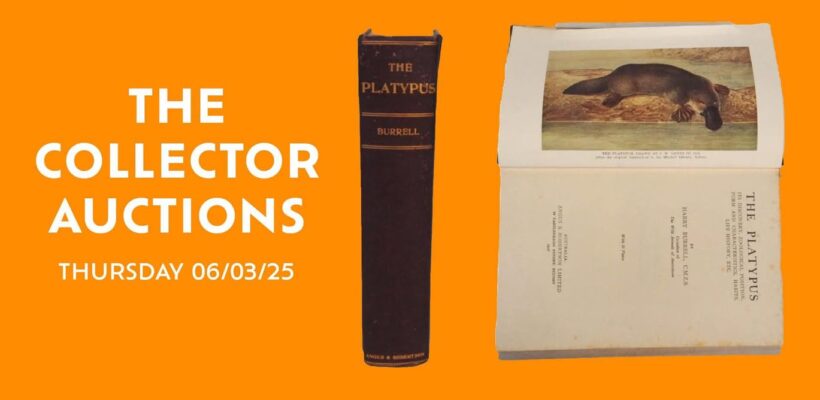 Posts - The Collector